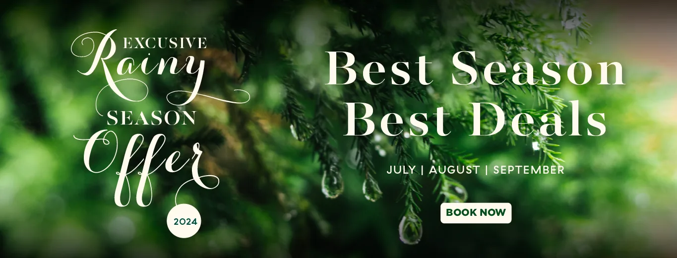 Manali Valley Resort!